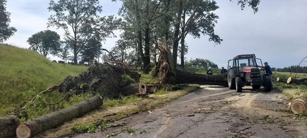 Powalone drzewa, uszkodzone budynki. Ponad 50 interwencji po burzy, która przeszła w regionie ...